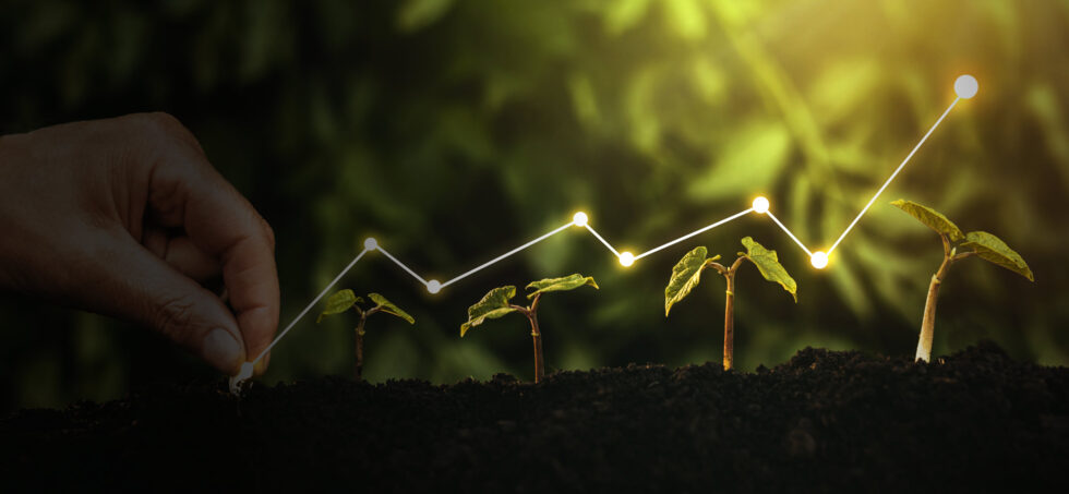 Growth Focused, Data-Driven Digital Marketing & SEO Services | Hive Digital